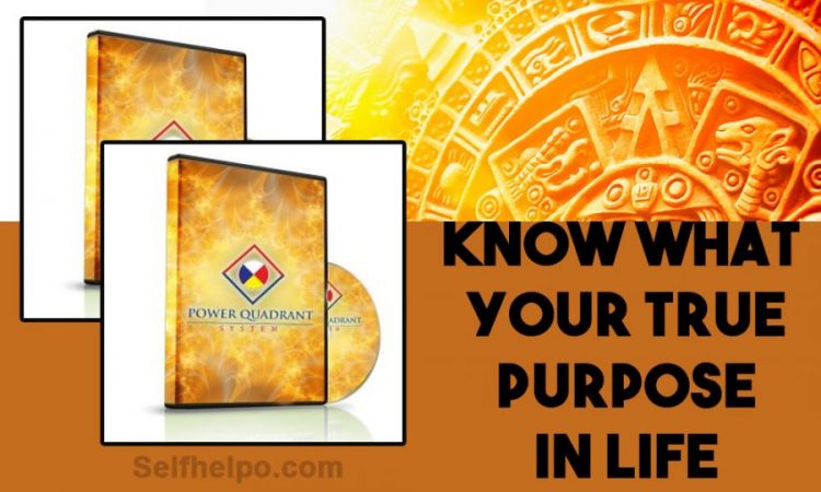 Power Quadrant System Review: Did You Find Your True Calling?